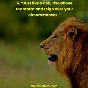 50 Courageous Lion Motivational Quotes to Overcome Obstacles