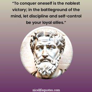 100+ Stoicism Quotes to Empower You in Times of Challenge